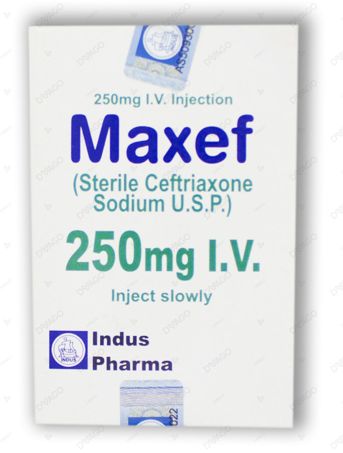 Maxef Injection Iv 250 Mg 1 Vial - Buy Online at DVAGO®