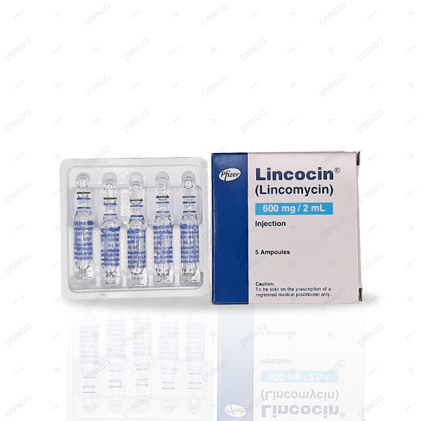 Lincocin Inj 600 Mg 5 Ampx2 Ml - Buy Online at DVAGO®